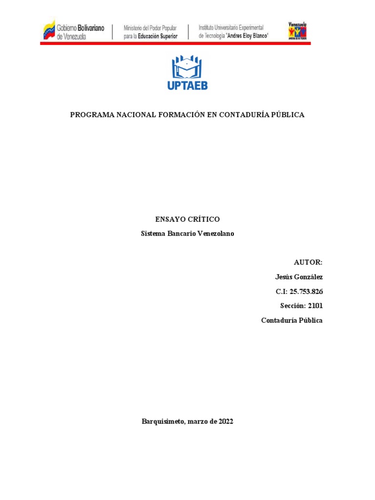 Ensayo Crítico Sistema Bancarios | PDF