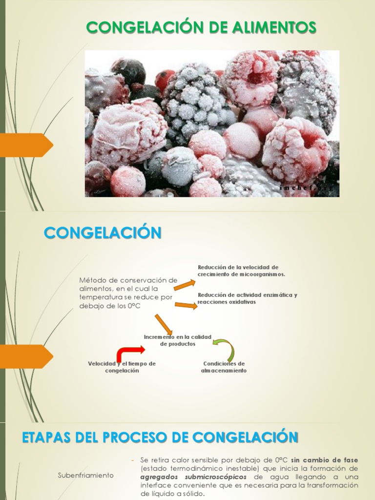 Congelación de Alimentos | PDF | Nucleación | Hielo