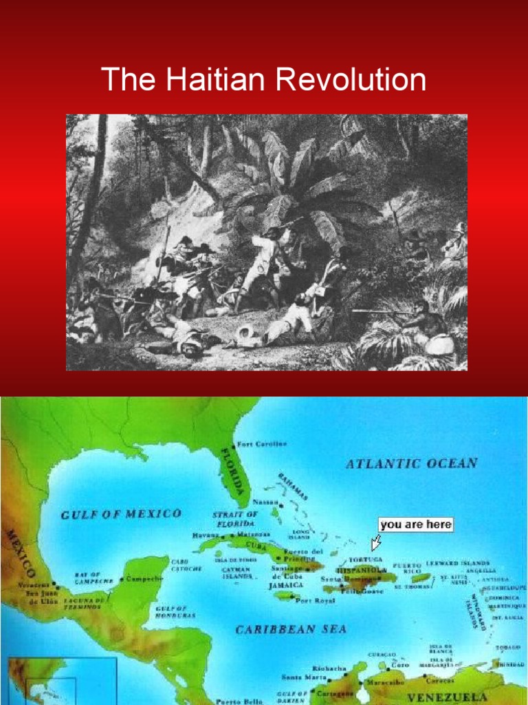 Overview of the Haitian Revolution | PDF | Slavery | African Diaspora