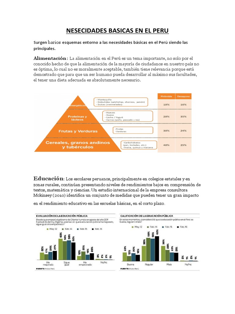 Nesecidades Basicas en El Peru | PDF