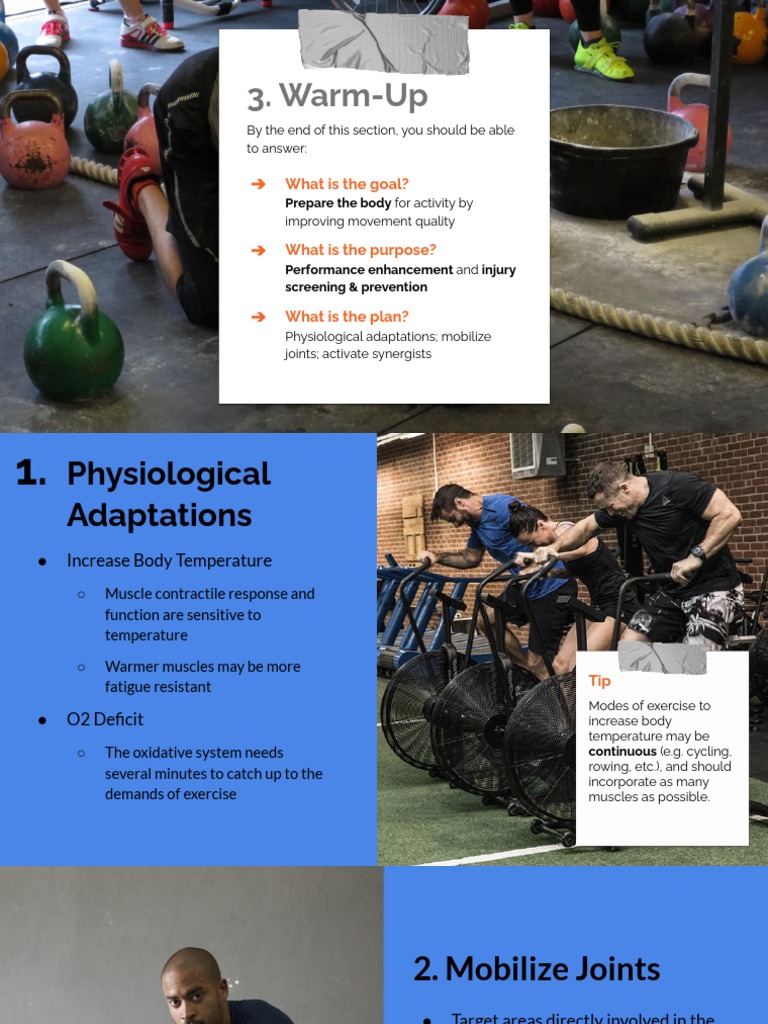 Anatomy of A Warm-Up | PDF | Skeletal Muscle | Musculoskeletal System