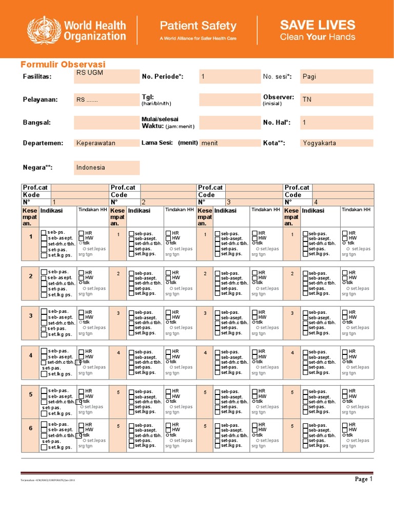 Form Audit HH Who | PDF