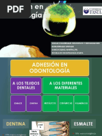 Cementacion de Brackets | PDF | Ortodoncia | Adhesión