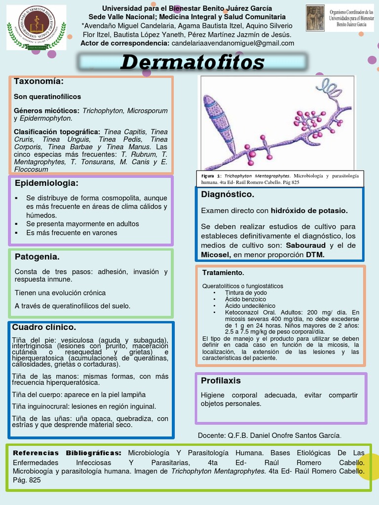 Dermatofitos Itzel | PDF | Micología | Piel