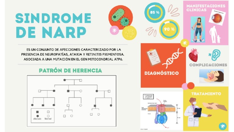 Sindrome de Narp | PDF