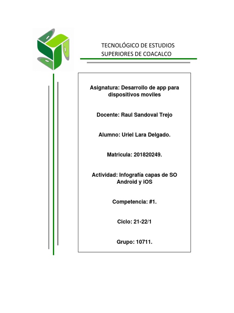 Infografía Capas de SO Android y iOS | PDF