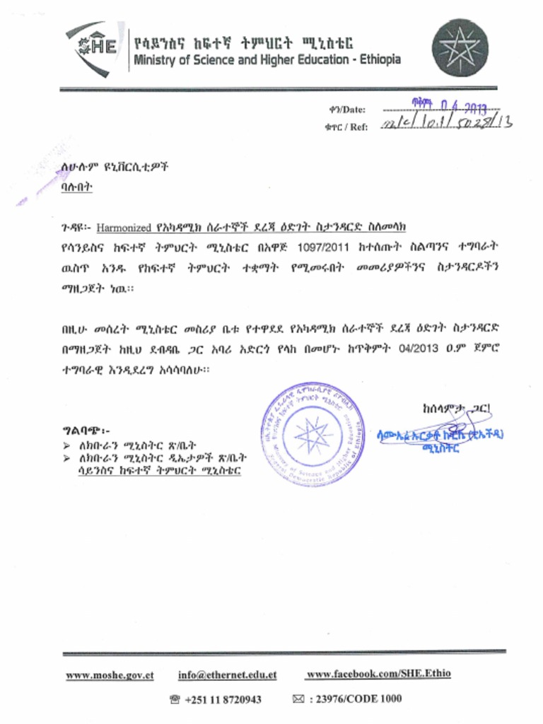Promotion New Guideline | PDF