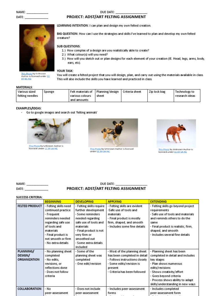 Felting Criteria Sheet Handout Examples | PDF | Cognition | Learning