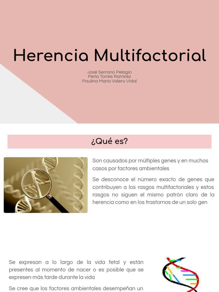 Herencia Multifactorial 2 | PDF | El embarazo | Especialidades Medicas