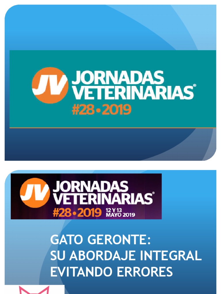 Gato Geronte Material | PDF | Gatos | Medicina CLINICA