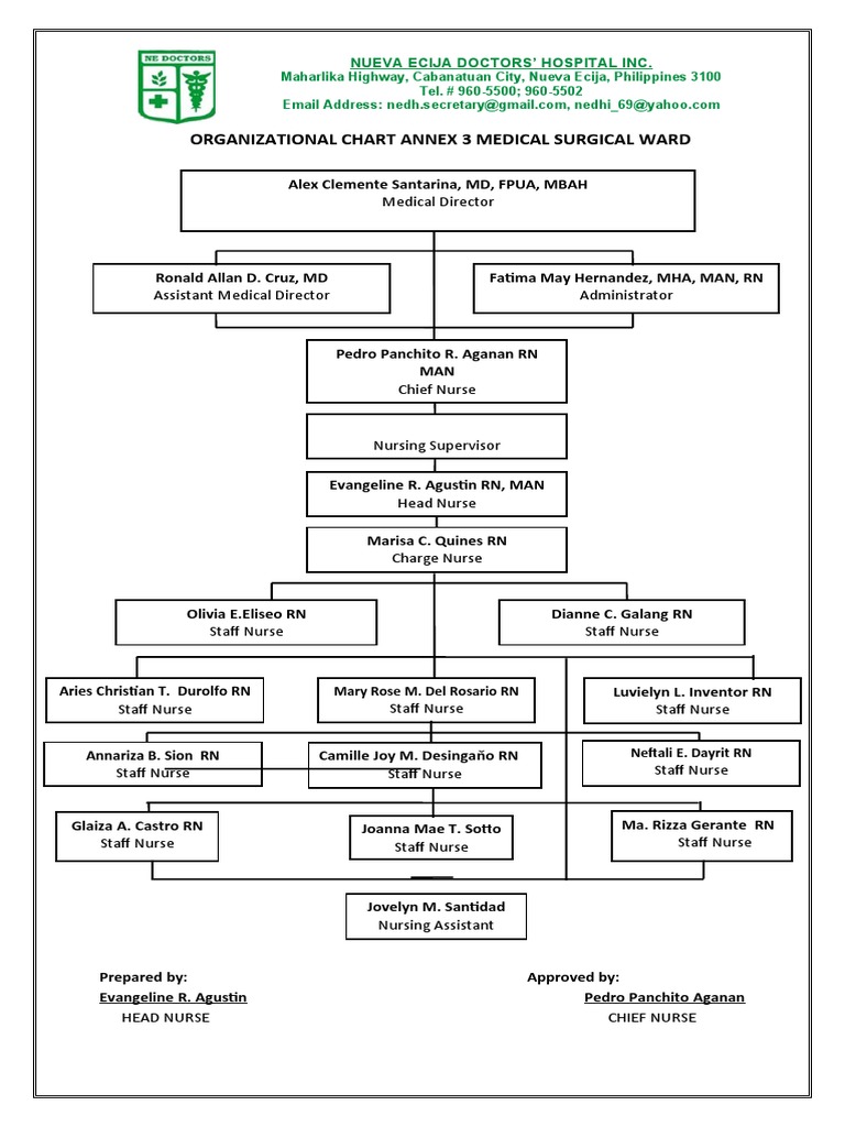 Org Chart A3 | PDF | Nursing | Health Care