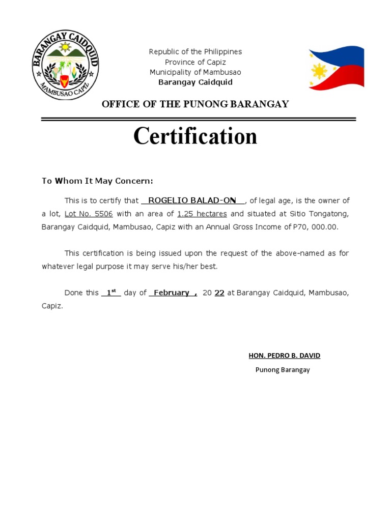 Barangay Land Ownership Certification | PDF