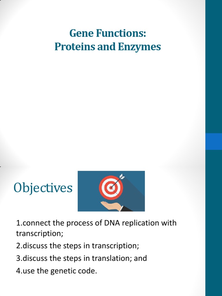 Lecture5 - Gene Functions - Proteins and Enzymes | PDF | Rna | Dna
