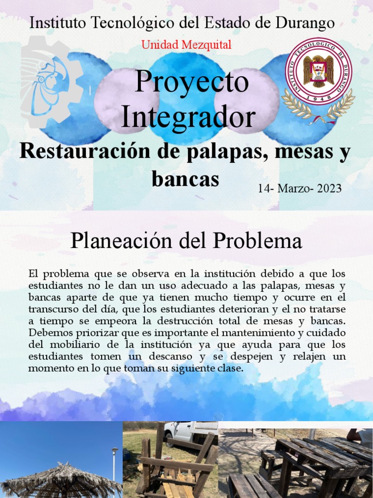 Proyecto Integrador | PDF