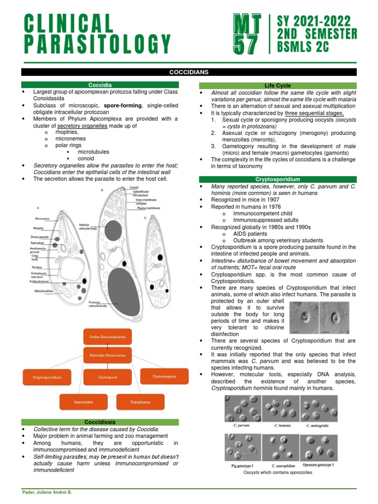 (MT 57) PARA - Coccidians | PDF | Biology | Immunology