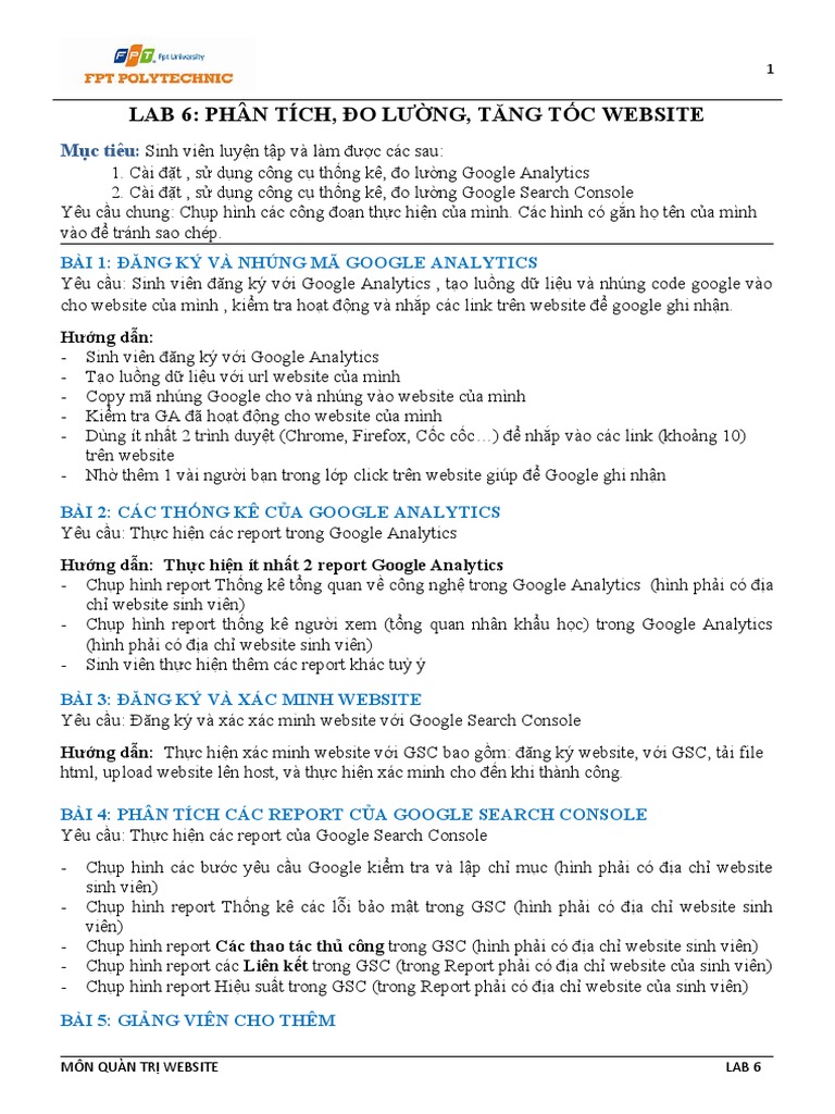 Lab6-Phân Tích, Đo Lường, Tăng Tốc Website | PDF