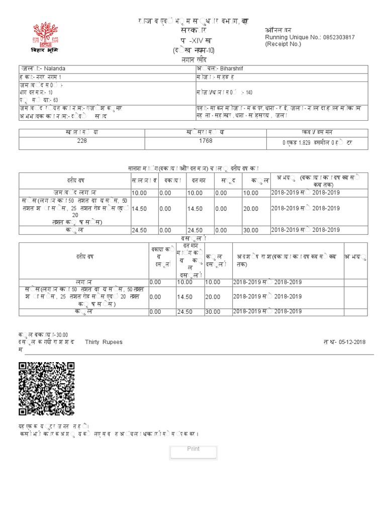 Https WWW - Bhulagan.bihar - Gov.in Citizen Payment Receipt | PDF
