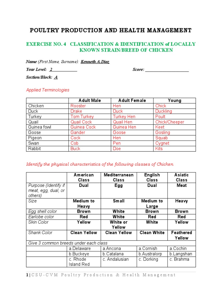 EXERCISE-4-CHARACTERIZATIONS-OF-POULTRY-TRAITS | PDF | Chicken | Poultry