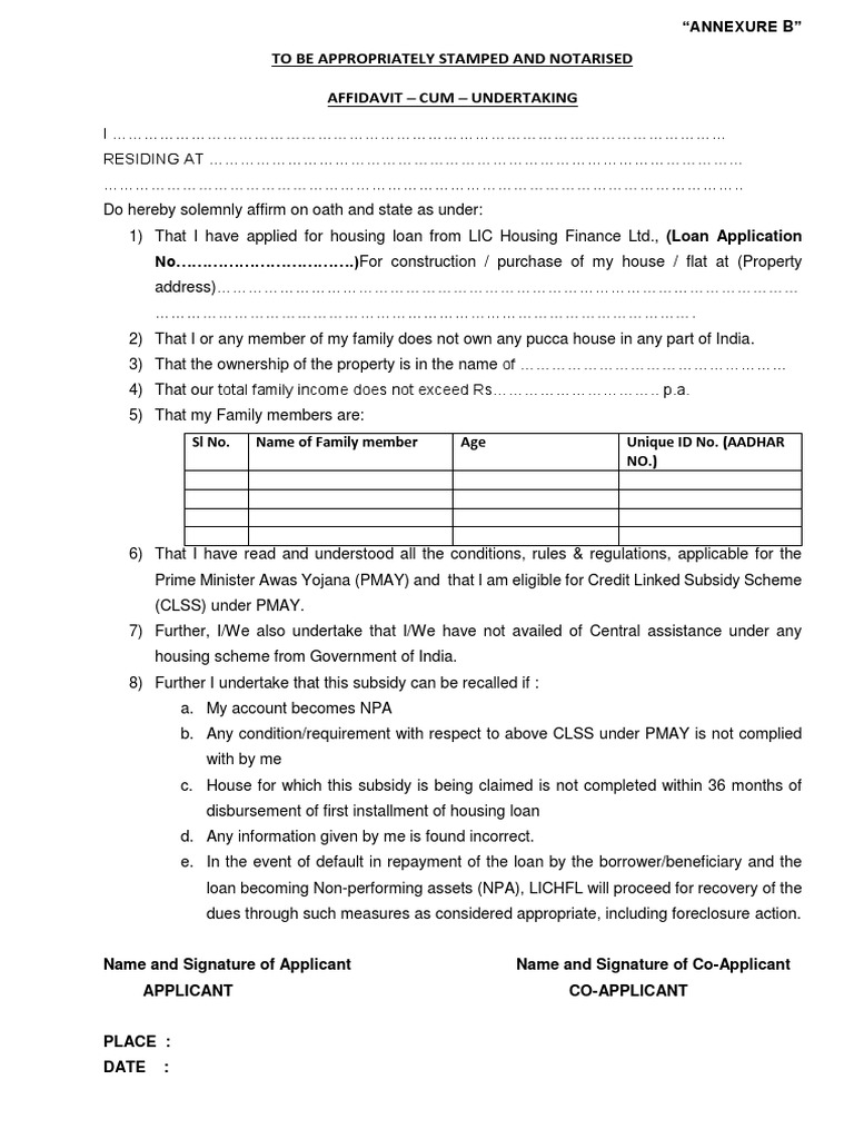 Annexure B - New Affidavit | PDF