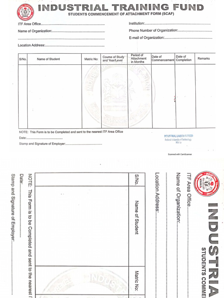 Itf Scaf Form | PDF