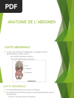 Anatomie Topographique de La Cavité Abdominale Et Péritonéale | PDF ...