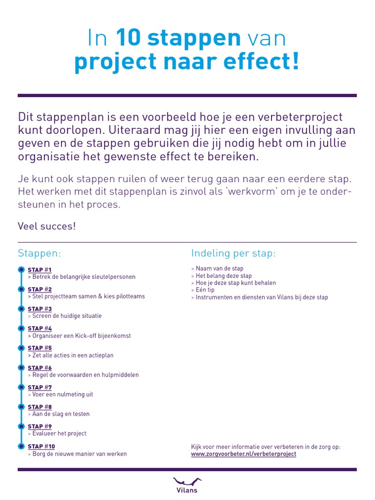 In Tien Stappen Van Project Naar Effect | PDF
