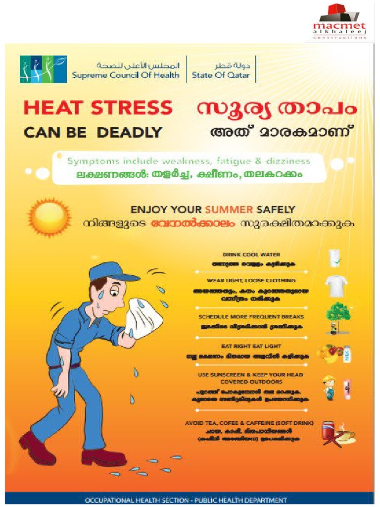 Heat Stress | PDF