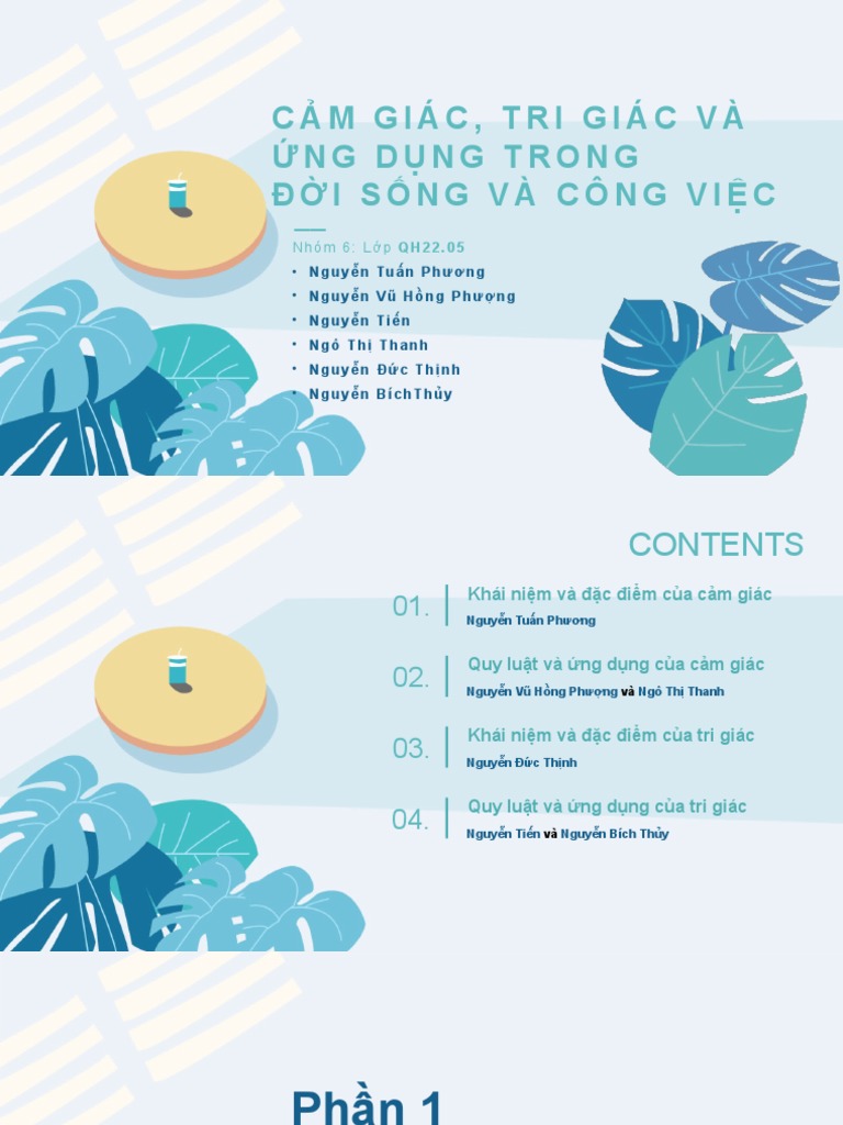 Slide Nhóm 6 Cảm Giác Và Tri Giác Pdf