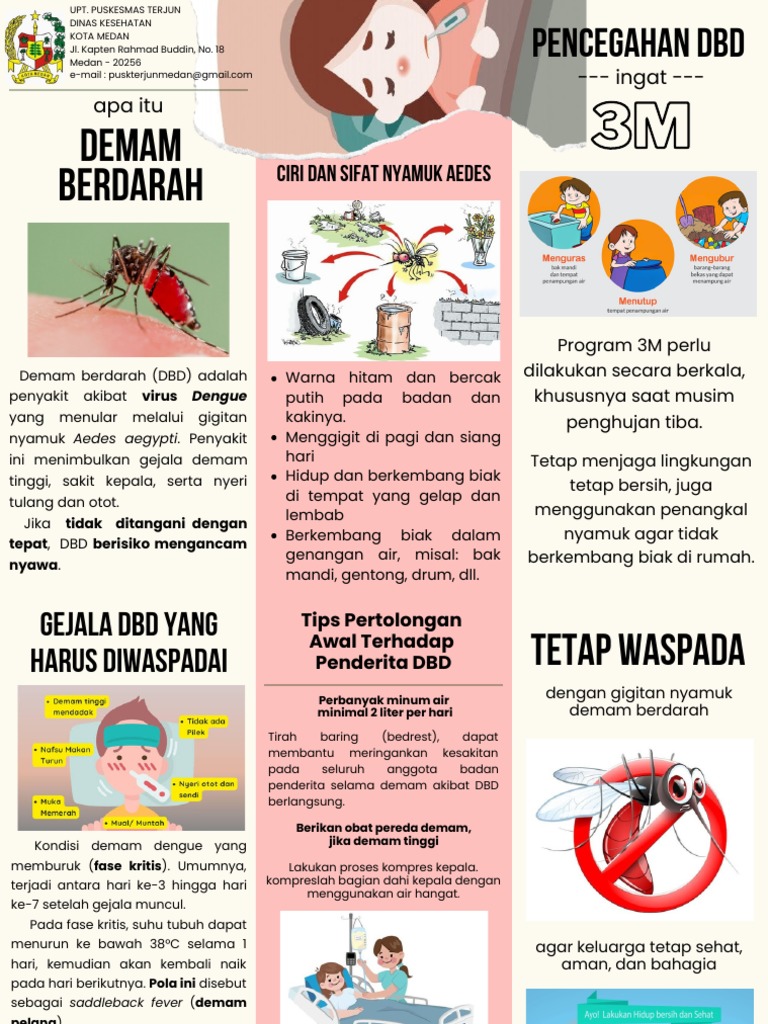 Leaflet DBD | PDF