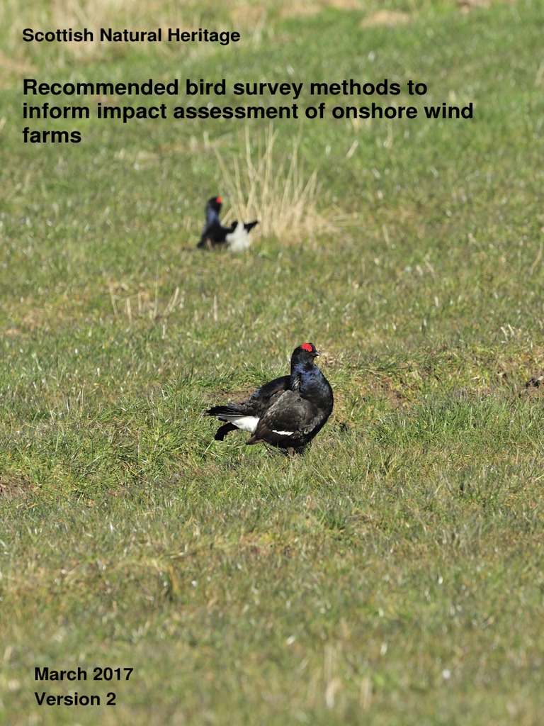 SNH 2017 - Guidance Note - Recommended Bird Survey Methods To Inform ...