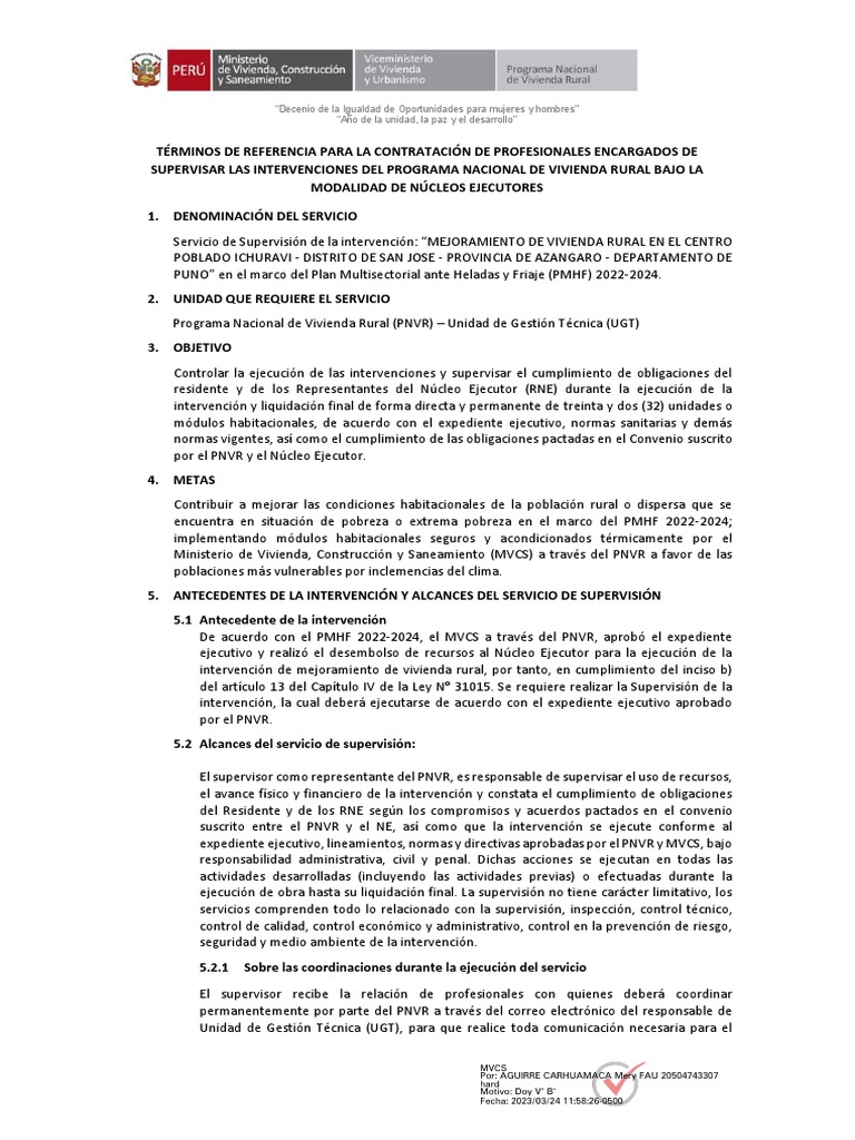 Modelo de TDR - Terminos de Referencia para Supervisores | PDF