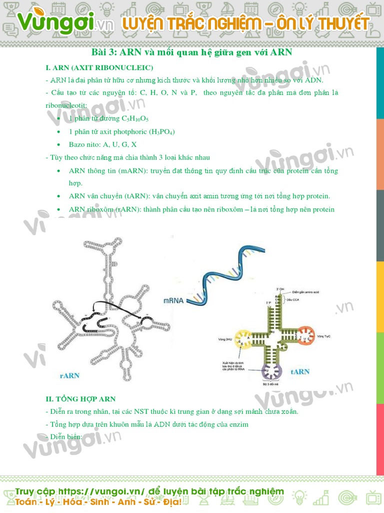 Ly Thuyet ARN Va Moi Quan He Giua Gen... | PDF