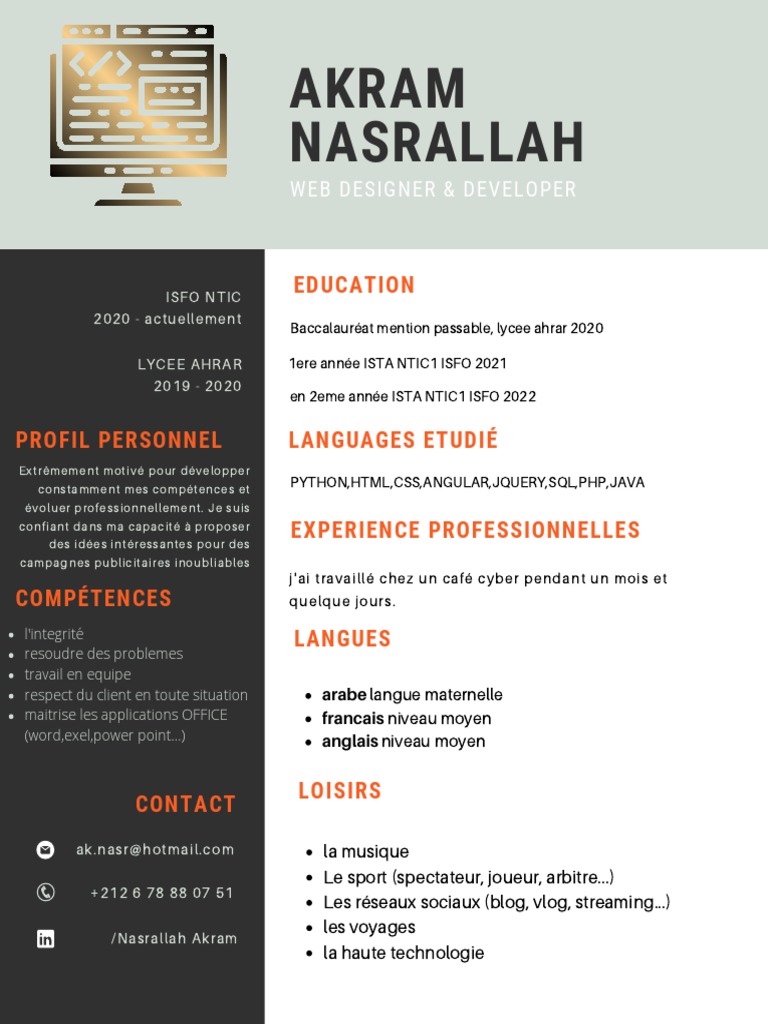 CV Akram Nasrallah | PDF