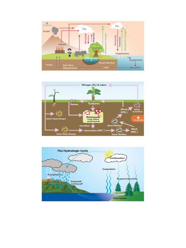 Daur Biogeokimia | PDF