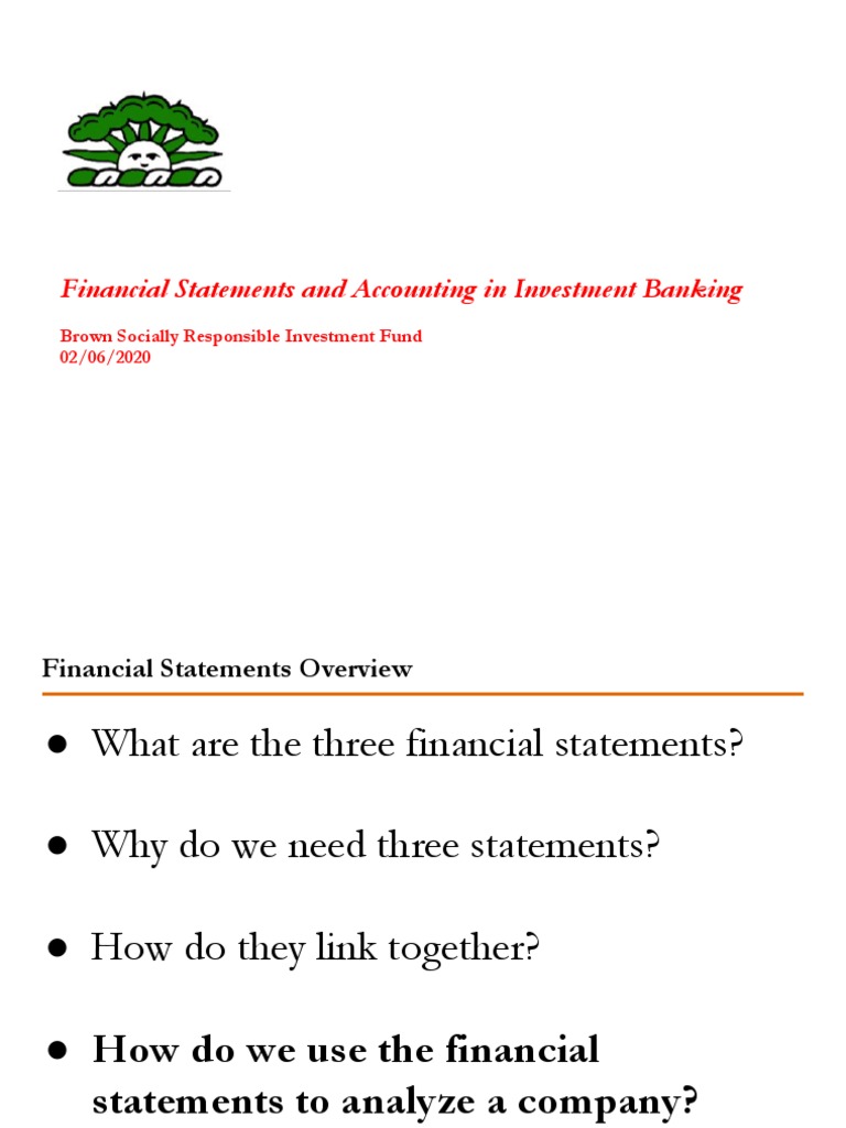 Financial Statements Overview | PDF