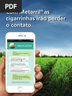 Inseticida Microbiológico Metarril WP E9: Controle da Cigarrinha-da ...