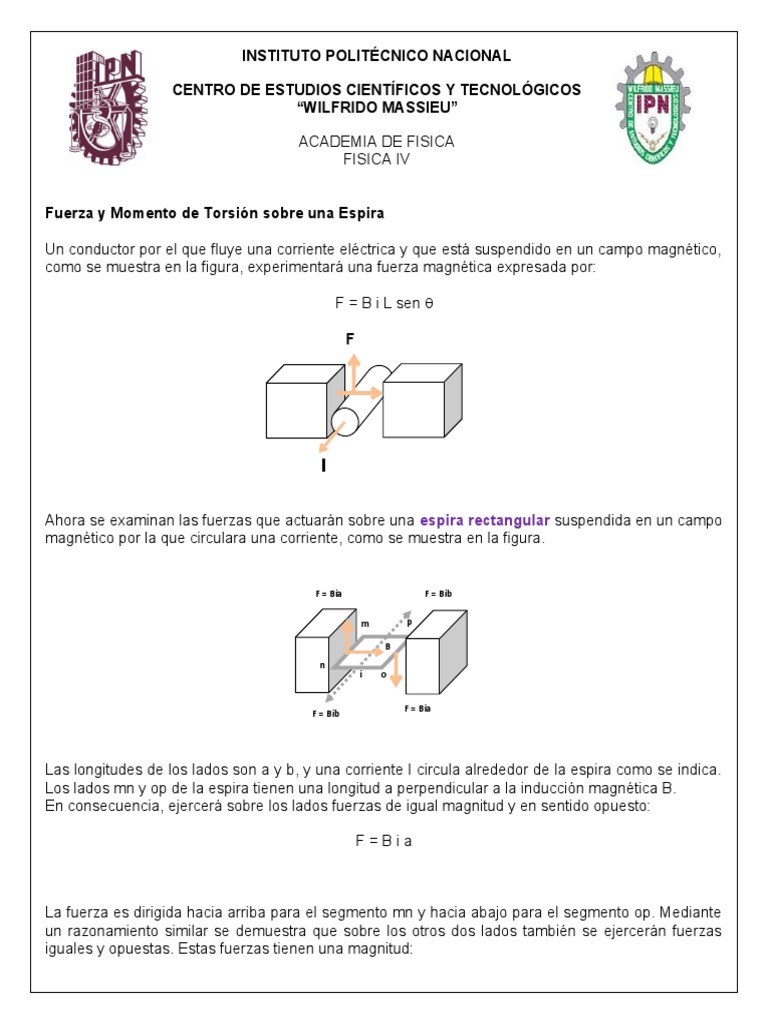 6 Momento Magnetico 2022 | PDF | Inductor | Campo magnético