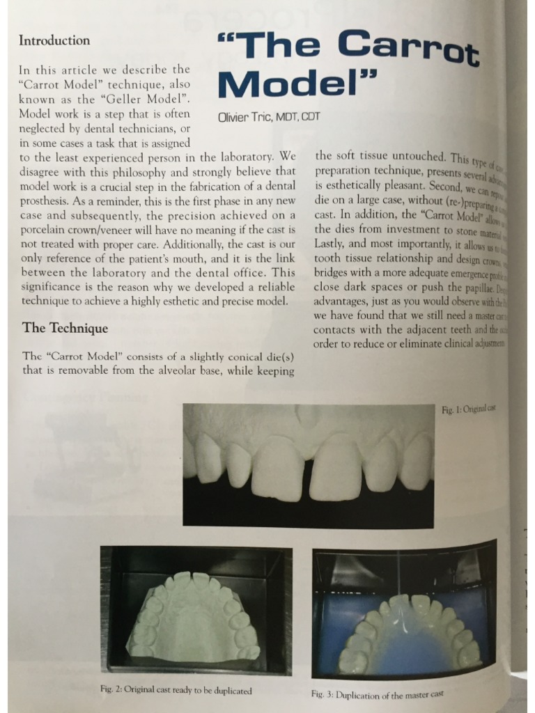 Carrot Model | PDF