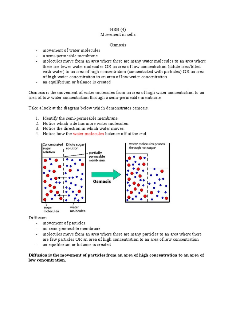 Osmosis Pdf Osmosis Diffusion