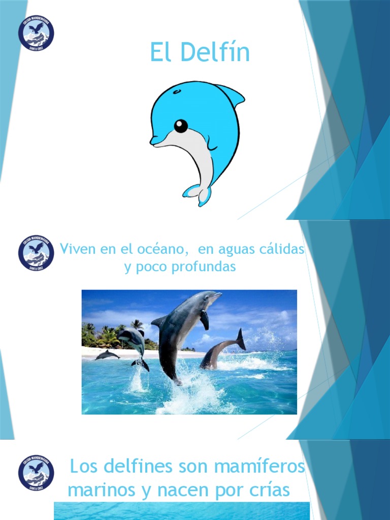 Información sobre el Delfín | PDF