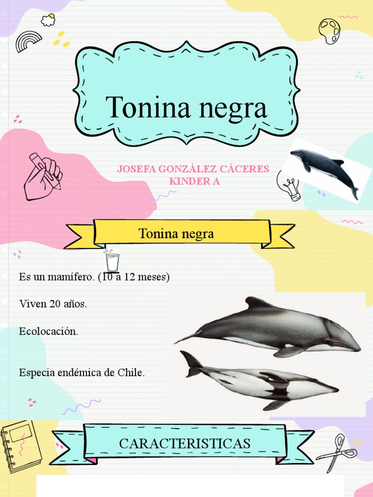 Características de la Tonina Negra | PDF
