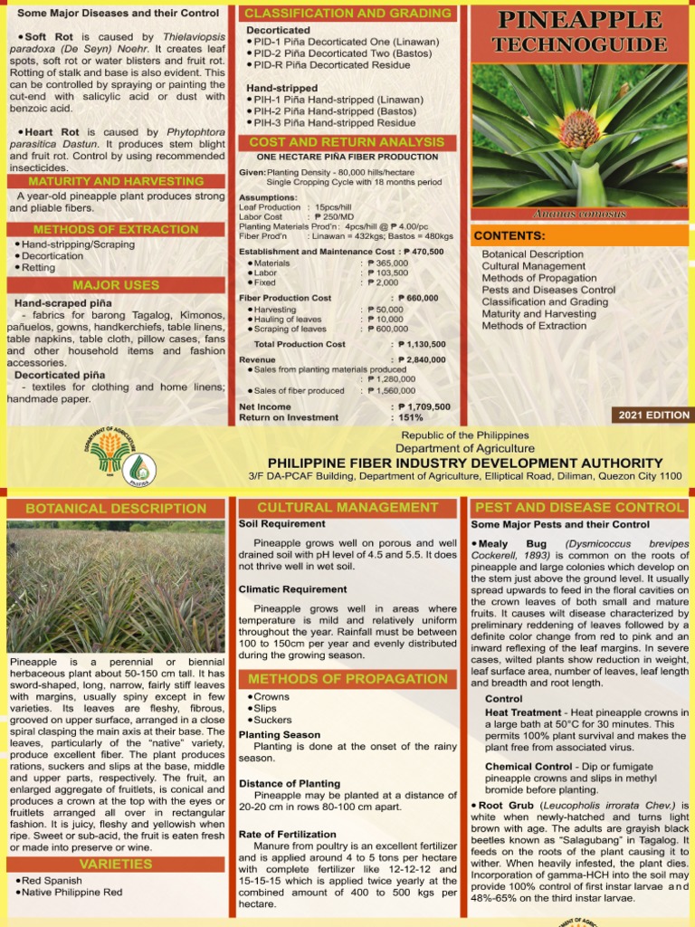 Pineapple Technoguide | PDF