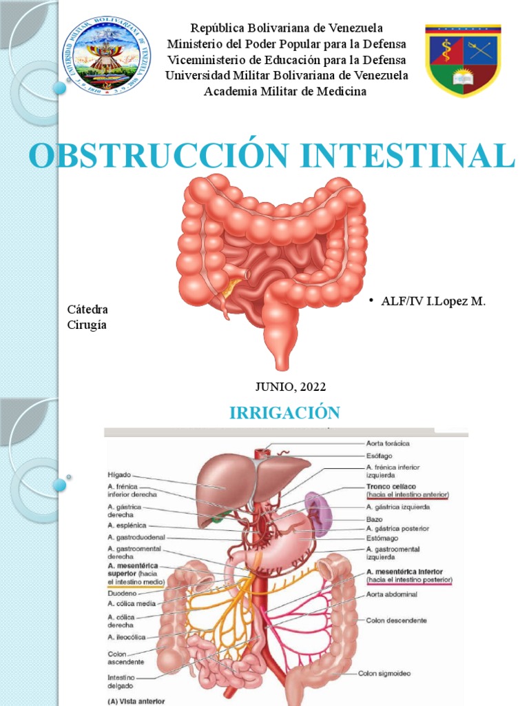 Obstruccion Intestinal | PDF | Causas de la muerte | Enfermedades ...