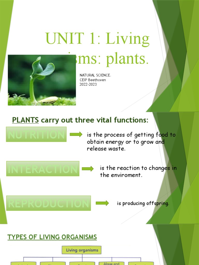 Unit 1 - Plants | PDF | Plants | Plant Reproduction