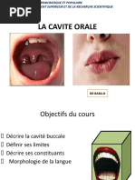 Anatomie et Muscles de la Langue | PDF | Langue | Anatomie humaine