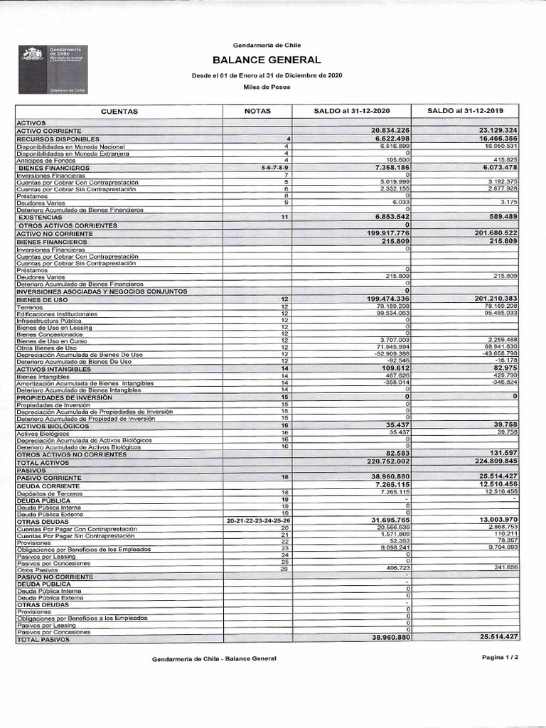 Estados Financieros 2020 | PDF | Contabilidad | Economias