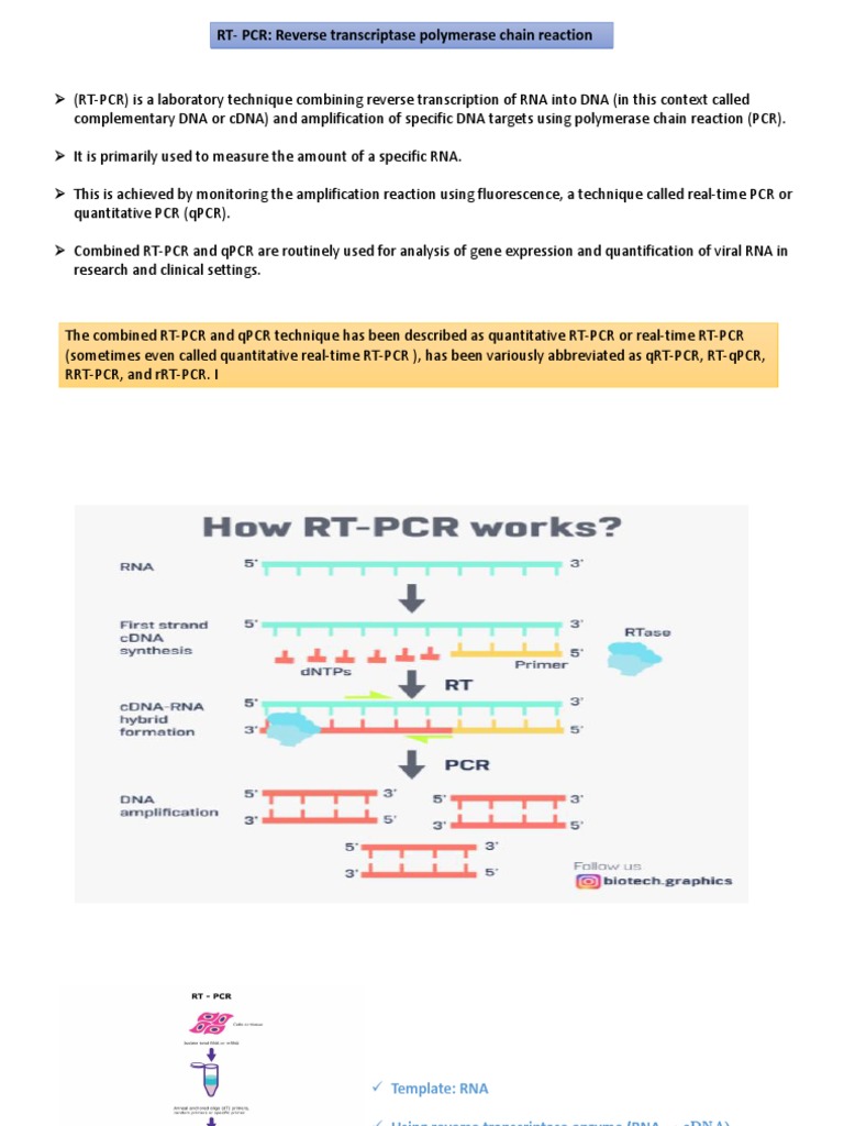 Session 8 Meditech | PDF | Reverse Transcription Polymerase Chain Reaction | Real Time ...