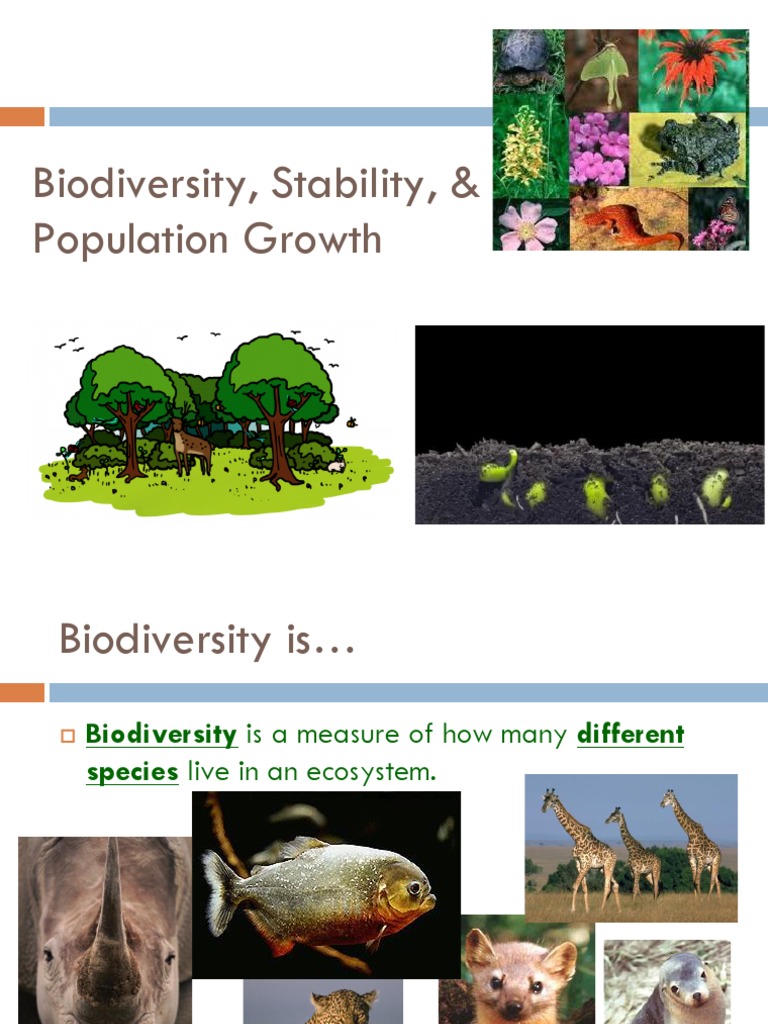 BIODIVERSITY | PDF | Biodiversity | Ecosystem
