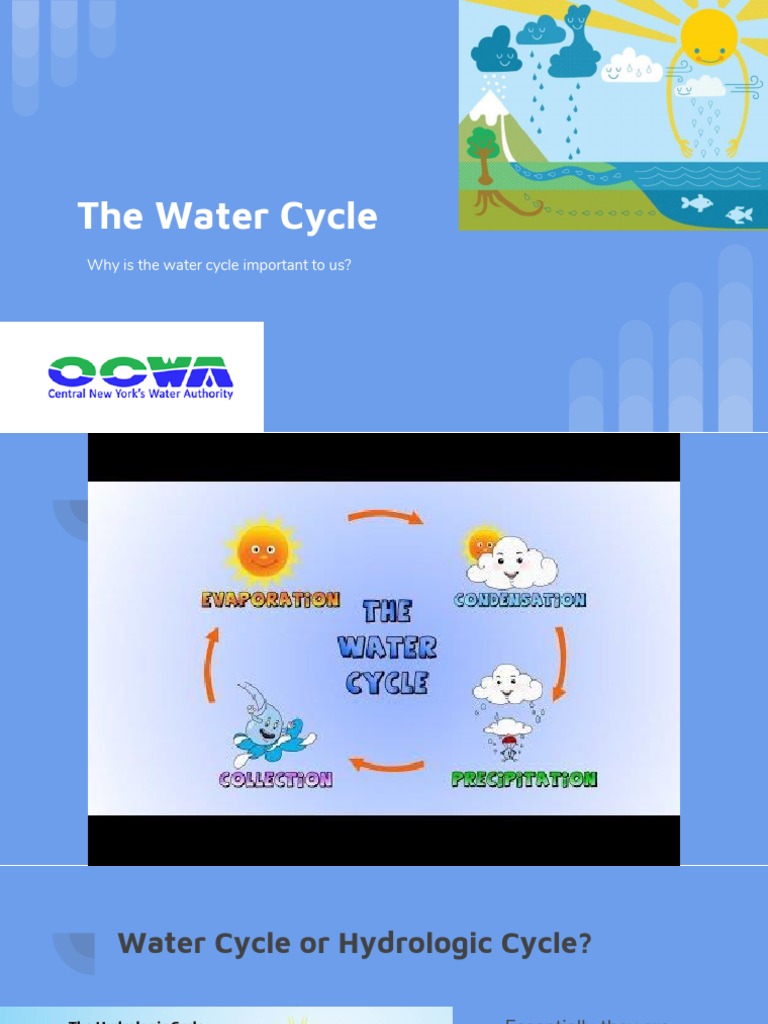 The Water Cycle | PDF | Water Cycle | Water