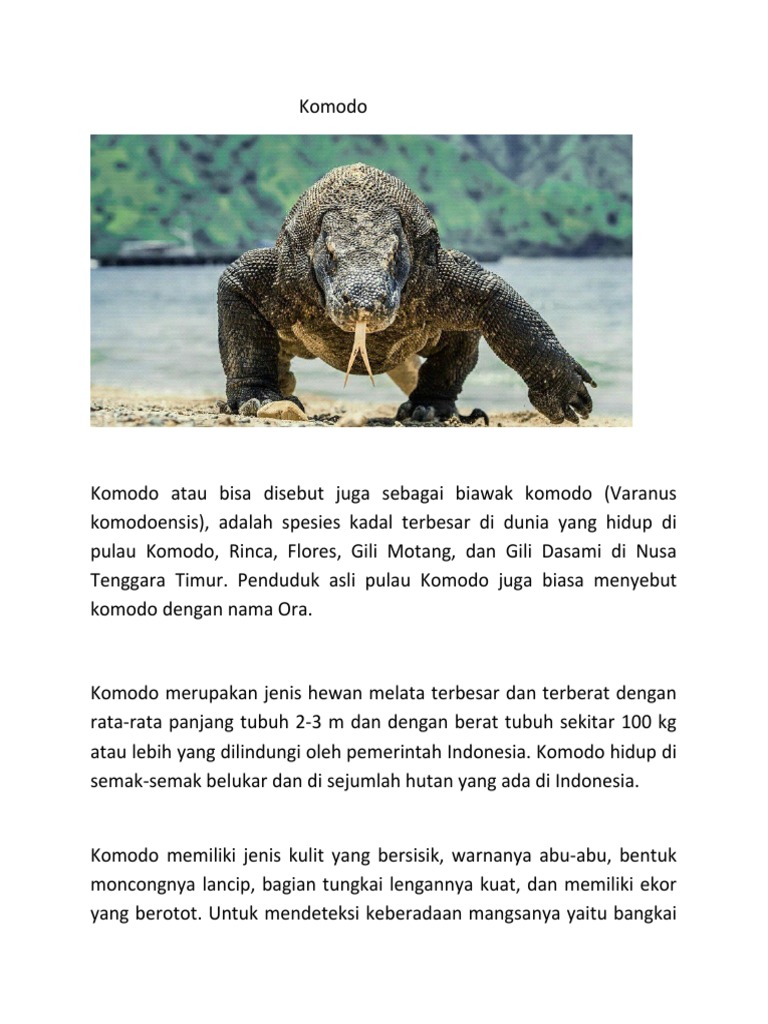 KOMODO | PDF